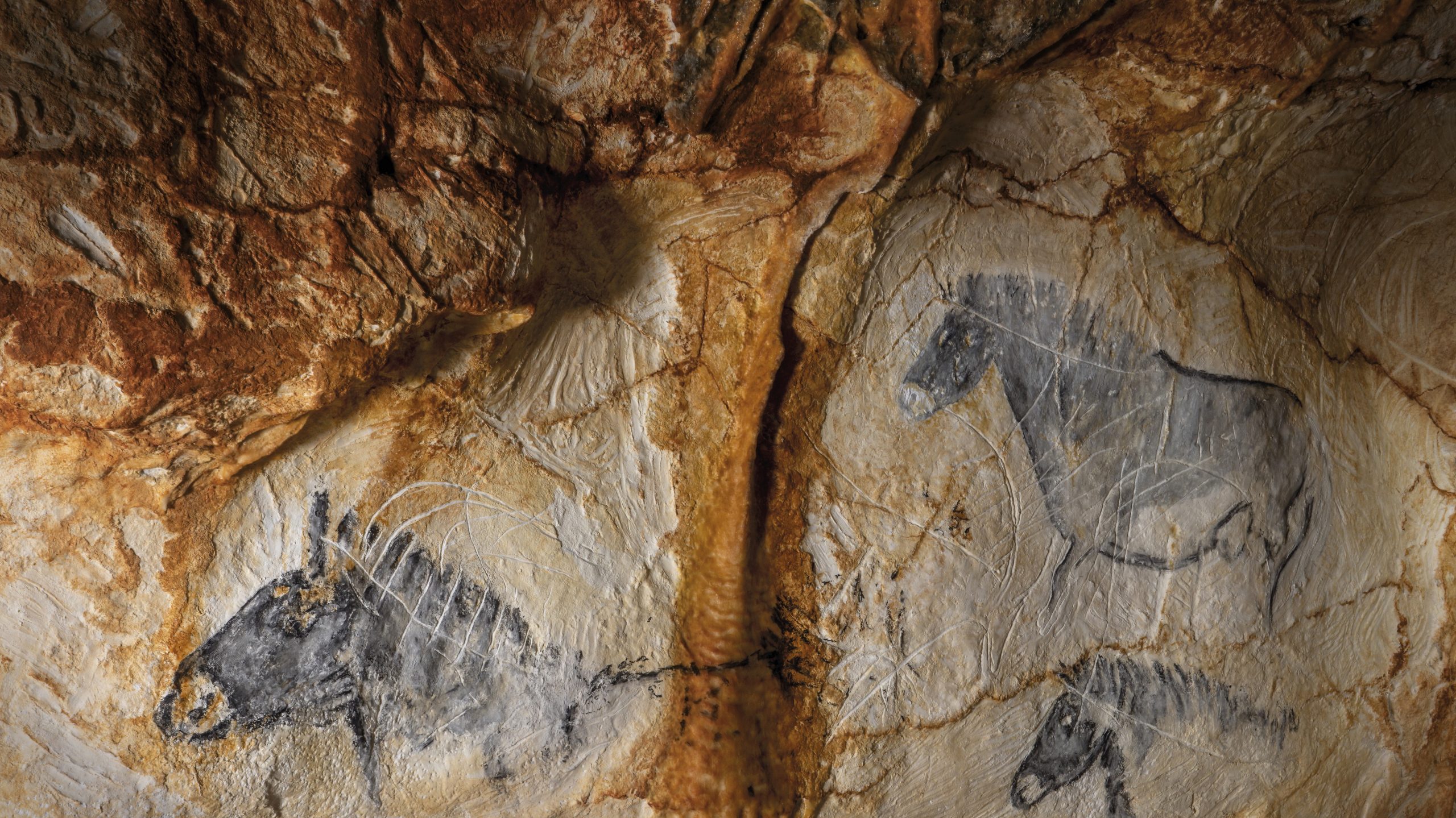 La grotte Cosquer sort de l’eau - Journal des plages